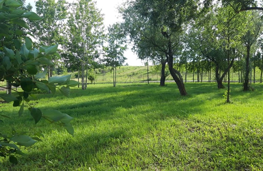 Camp Rest Gacki Podkowa | NIEBYWAŁE pole campingowe Gacki 🚐