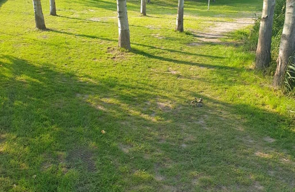 Camp Rest Gacki Podkowa | NIEBYWAŁE pole campingowe Gacki 🚐