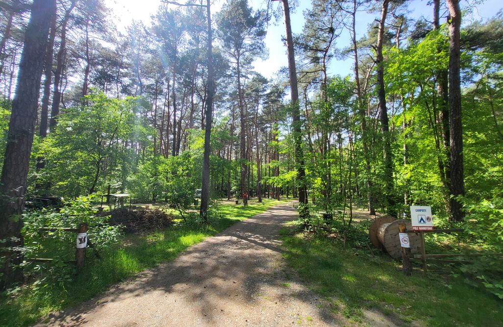 Przystań Turawa | NIEBYWAŁE pole campingowe Turawa 🚐