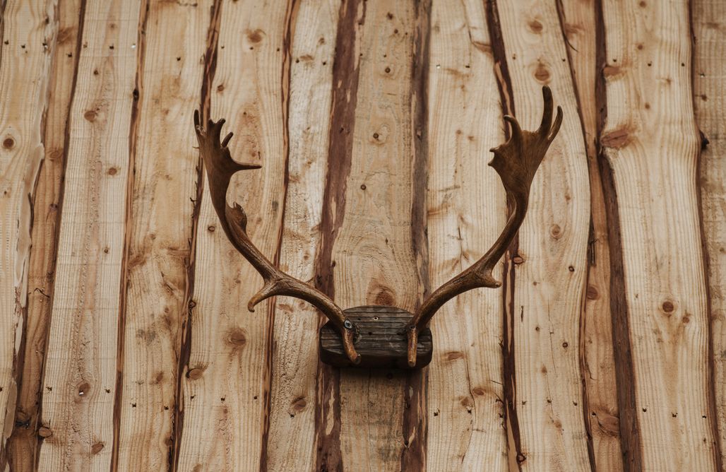 Rogate Domki | WYJĄTKOWY domek do wynajęcia Zasań 🏠