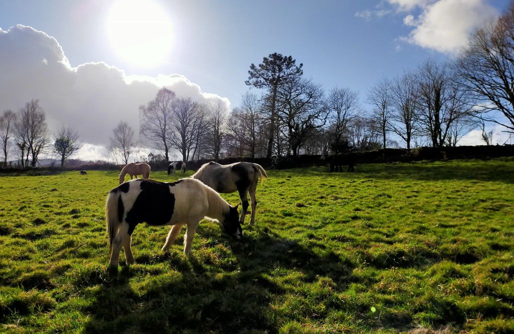 Granja Labrada | UNIQUE holiday rentals A Coruña 🏠