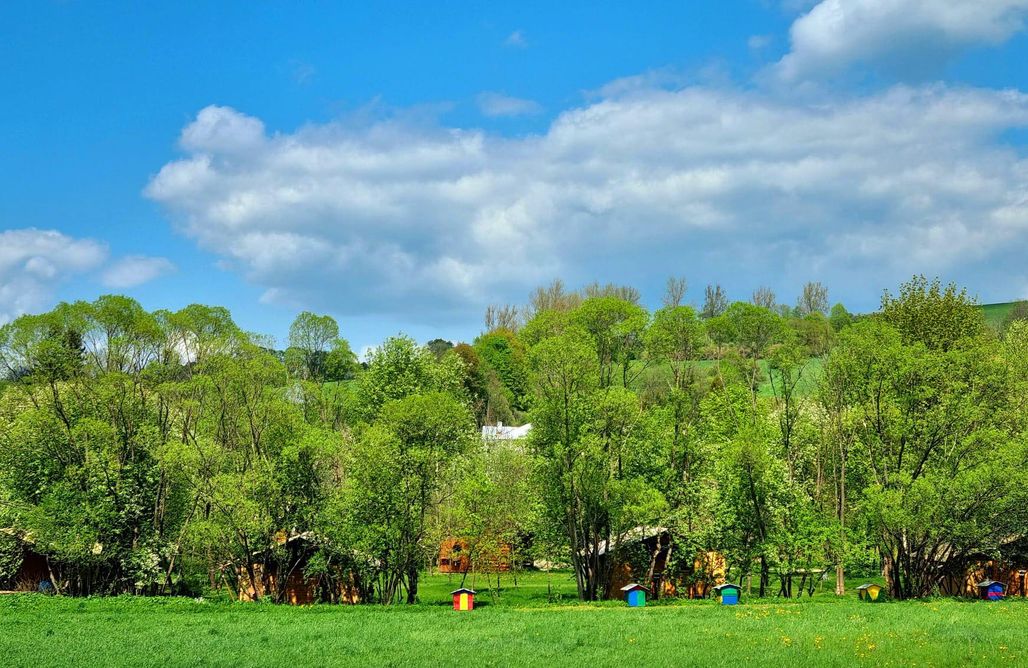 Forrest Glamp | NIEZWYKŁY glamping Jaśliska! 🤩
