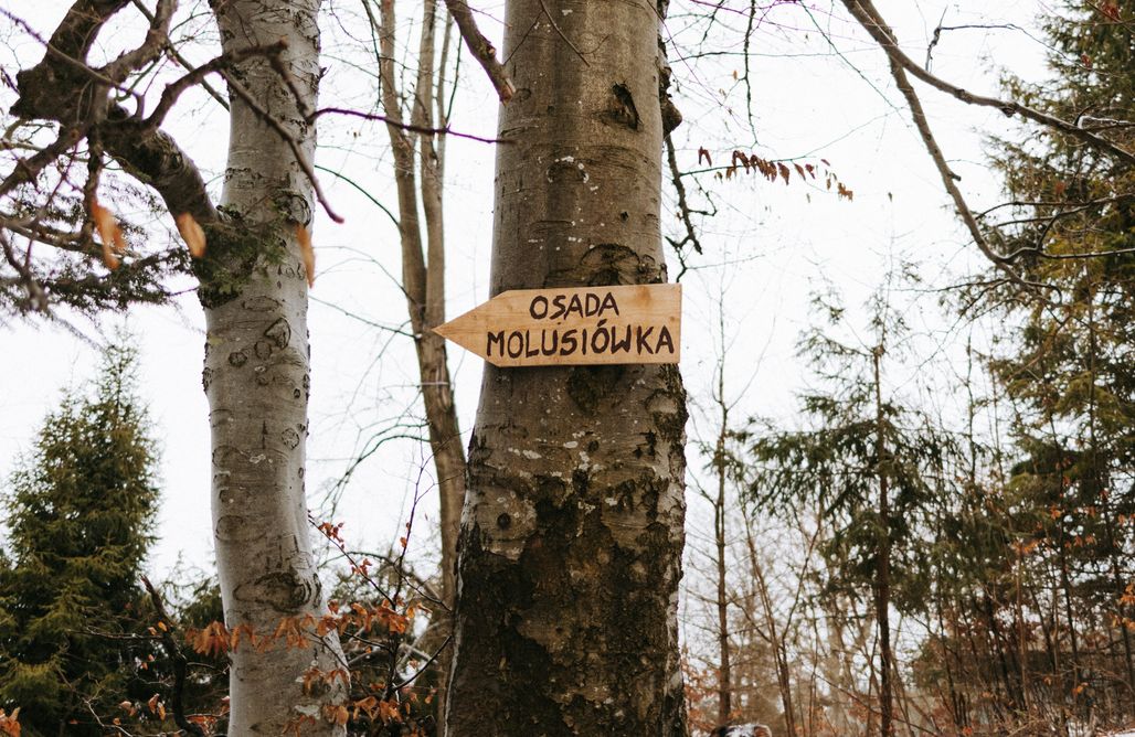 Osada Molusiówka Chata z Balią | UNIQUE holiday rentals Koszarawa 🏠