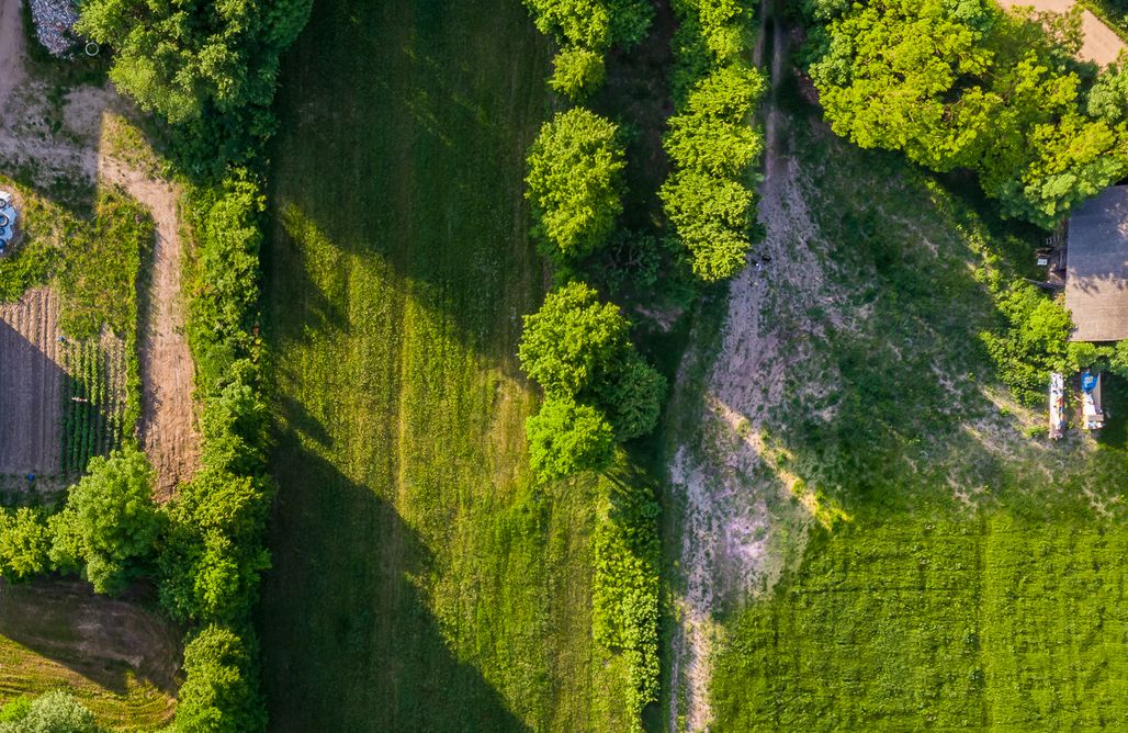Łąki i Pola | UNIQUE Camping Site Drohiczyn 🚐