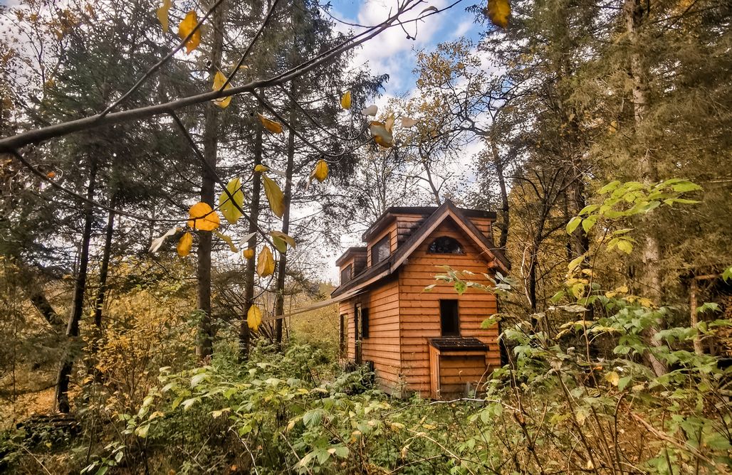 AlohaCamp.com 🌲 | Znajdź WYJĄTKOWE miejsce na wyjazd! 🤩