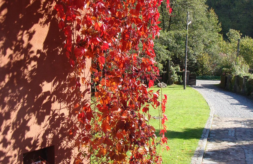 Camping KLUCZWODA | NIEBYWAŁE pole campingowe Zelków- Gacki 🚐